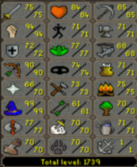 OSRS Accounts For Sale | Runescape Accounts For Sale